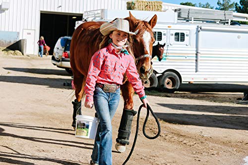 Silver Lining Herbs Horse Probiotic - Micro Encapsulated Probiotics for Equine Digestive Support and a Healthy Gut - Natural Source of Beneficial Bacteria and Enzymes - 7 lb Bag