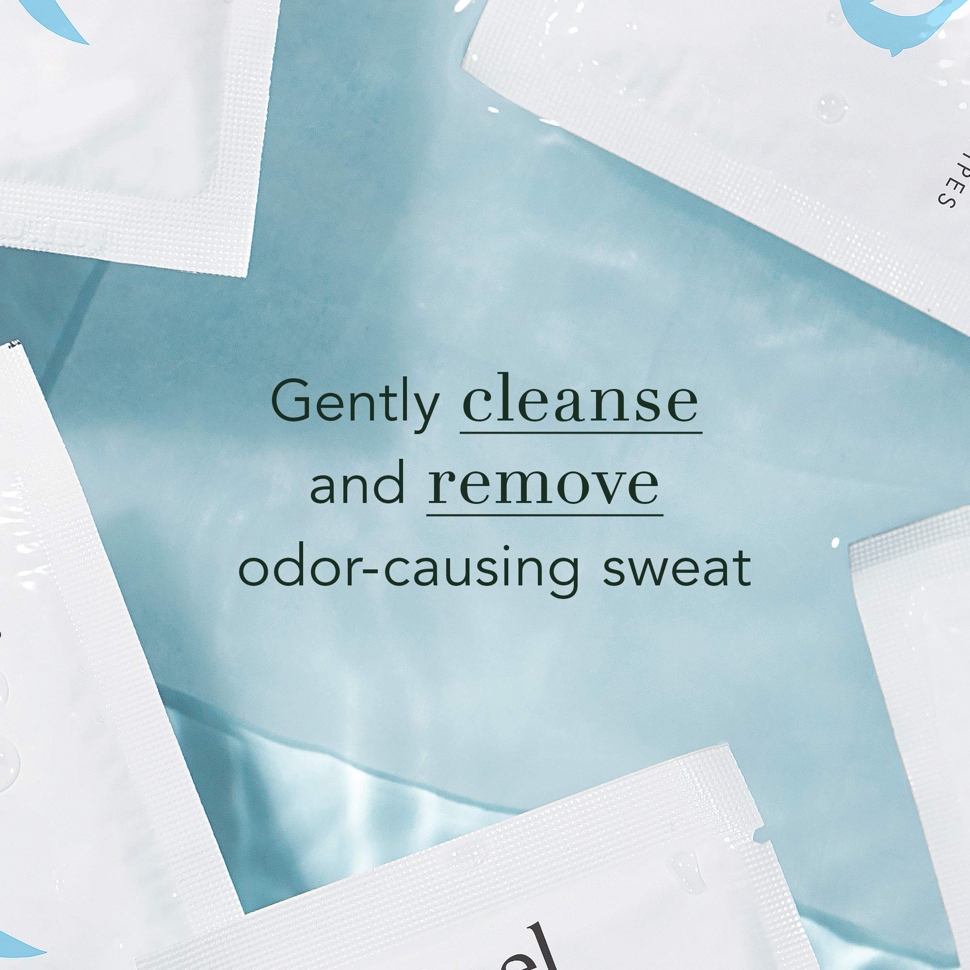 Rael Organic Cotton Wipes - Body Cloth, Individually Wrapped, All Skin Types, Vegan, Cruelty-Free, Unscented (10 Count, Pack of 4)