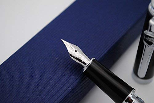 JINHAO 8802 Fountain Pen F Nib (Birds and Wintersweet Painting)