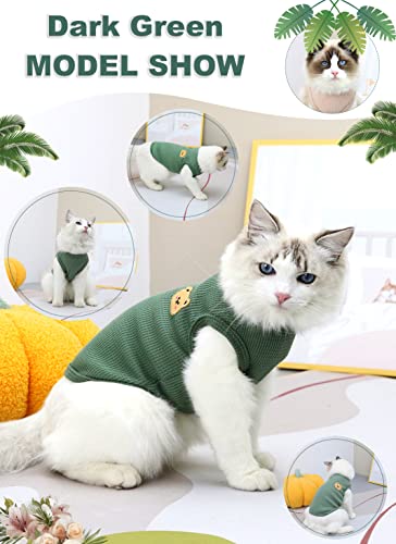 Cat Clothes, KISOLD Pet Cat Clothes Chic Bear Casual T-Shirt Apparel for Cat Kitten Puppy for Spring and Summer, Green, M