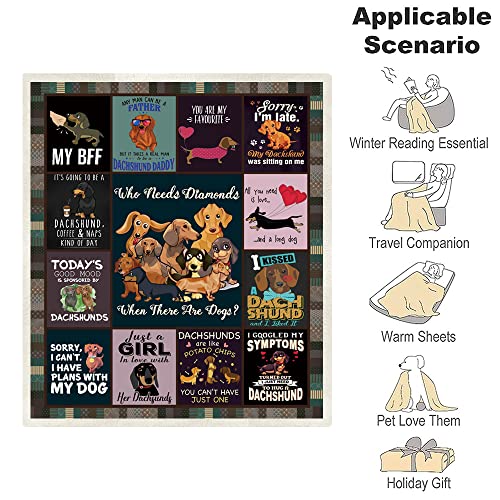 Ultra Soft 3D Printed Blanket Dachshund Dog Pattern Cozy Microfiber Plush Sherpa Blanket 2 Sizes Warm Fuzzy Throw Blanket for Kids and Adults Throws Blankets (Style01, 130cm x 150cm(51'' x 59''))