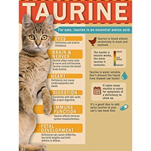 Cat-Man-Doo Extra Large Dried Bonito Flakes Treats for Dogs & Cats - All Natural High Protein Flakes - 4oz. / 112g Bag