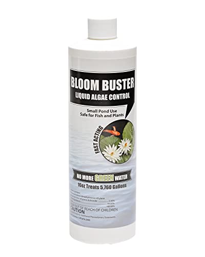 Bloom Buster Pond Algae Control - 16oz - Fast Acting Algaecide, Use in Fountains & Outdoor Ponds Containing Koi & Other Fish - EPA Registered