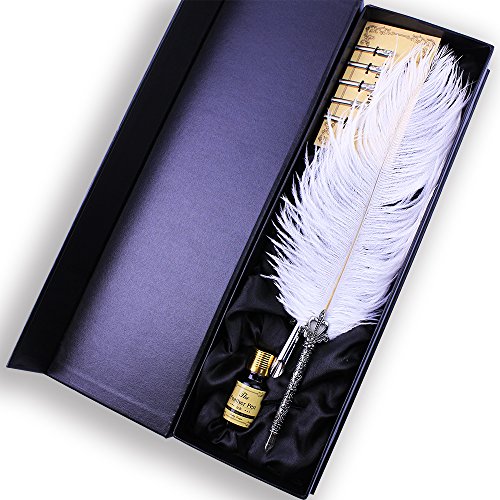 Featty Gifts Natural White Ostrich Plume Dip Quill Pen Set,Retro Crown Penholder and Crave Pattern Penstand Stem,Writing Feather Pen for Party