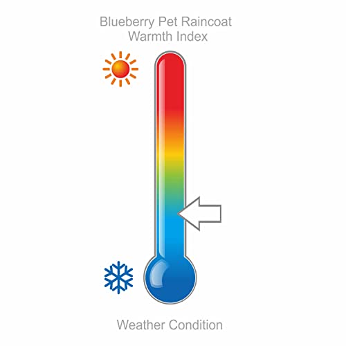 Blueberry Pet 2023 New 14" Waterproof Dog Softshell Jacket, Hooded Raincoat and Windbreaker with Leash & Harness Hole, Blue Turquoise, Outdoor Rain Gear for Dogs