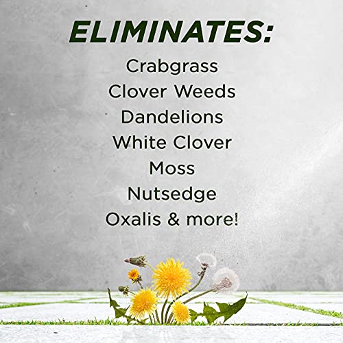 Green Gobbler 20% Vinegar Weed & Grass Killer | Natural & Organic | Concentrated | 1 Gallon Spray | Glyphosate Free Herbicide