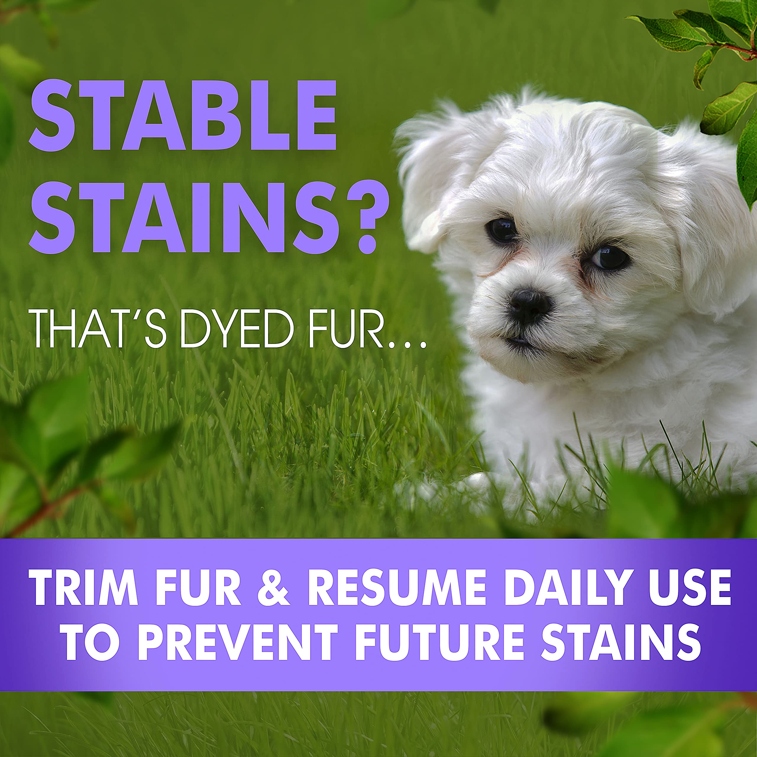 Arava Natural Tear and Stain Remover for Dogs and Cats - Effective Solution with 26 Dead Sea Minerals, Removes and Prevents Eye and Saliva Stains