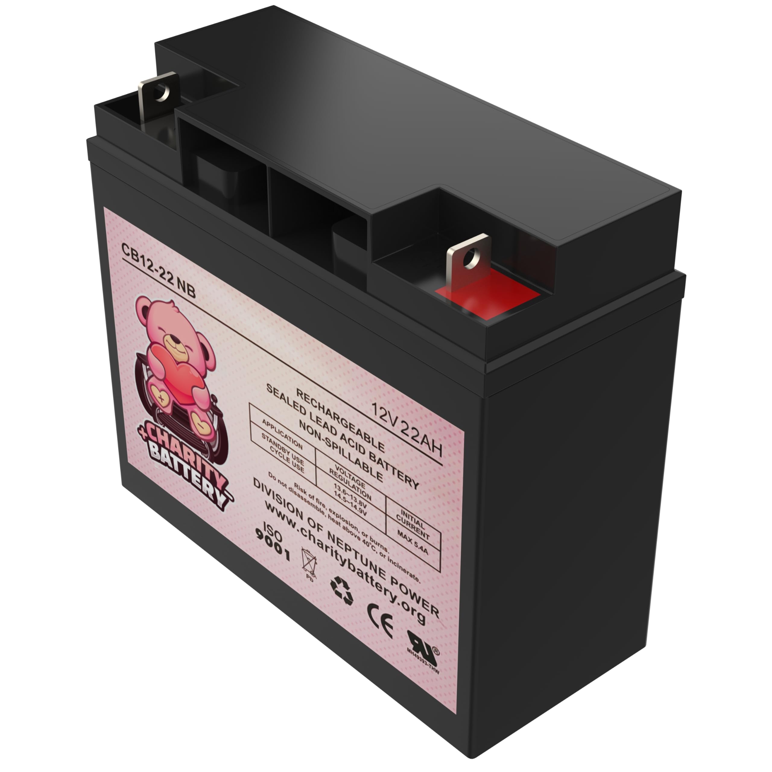 Charity Battery CB12-22 12V 22Ah Rechargeable SLA Battery Replacement for UB12180 FM12180 6fm18
