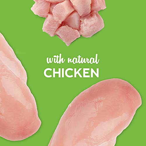 Cloud Star, Buddy Biscuit Grain Free Tender Chicken Gluten Free, 3 Ounce