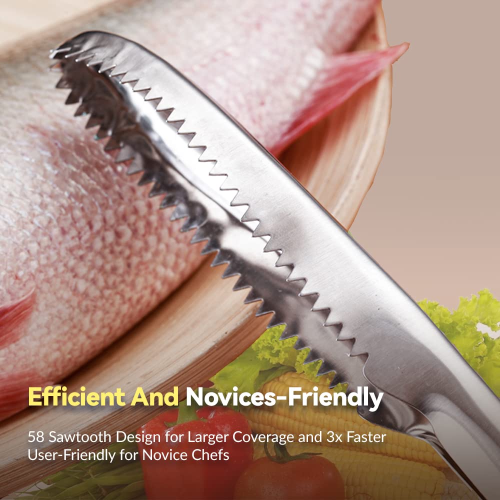 ADORAMBLING 2 Pieces Fish Scaler Tool Stainless Steel Fish Scaler Remover No Mess - Portable Fish Scale Remover Fish Descaler Tool - Durable Fish Scraper Fish Cleaner Tool for Fish Scaling Cleaning