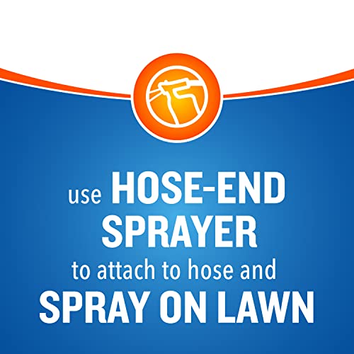 Cutter Backyard Bug Control Spray Concentrate (6 Pack), Kills Mosquitoes, Fleas & Listed Ants, 32 fl Ounce