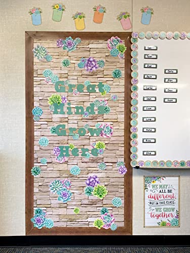 Teacher Created Resources Rustic Bloom Mason Jars Accents (TCR8551)