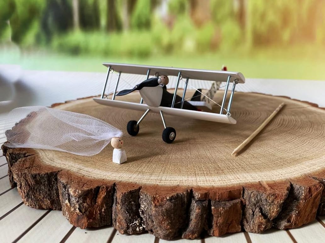 Airplane Wedding Cake Topper with Custom banner Mr. & Mrs. Cute unique honeymoon figurines at the helm of the plane