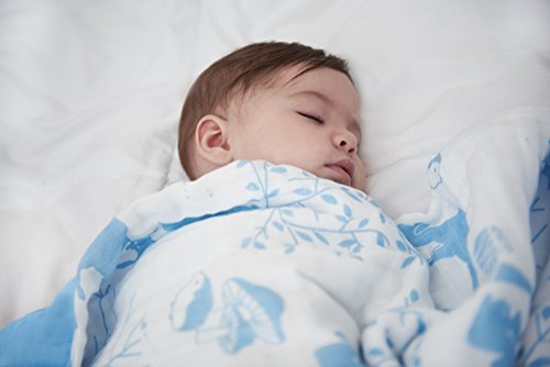 Clover & Sage Organic Muslin Baby Toddler Blanket - 100% Hypoallergenic Cotton Bed Blankets - Blue Forest