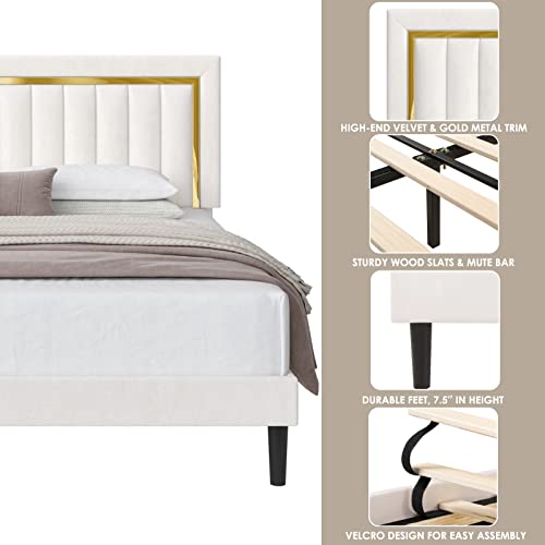 HITHOS King Size Bed Frame with Adjustable Tufted Headboard, Velvet Upholstered Platform Bed Frame with Gold Trim, Heavy Duty Mattress Foundation with Steel Frame, Easy-Assembly Slats (Beige, King)