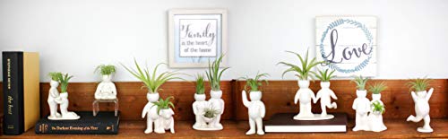 3.25 Inch White Ceramic Meditating Person Shaped Planter with Live Tillandsia Air Plant - Potted Indoor Air Plants for Home and Office Decor