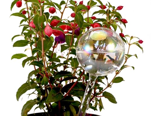 Ahhute 3 Pack Plant Watering Globes - Iridescent Rainbow Gradient Color Glass Watering Globes - Watering Bulbs for Outdoor Plants Indoor Plants - Plant Self Watering Devices
