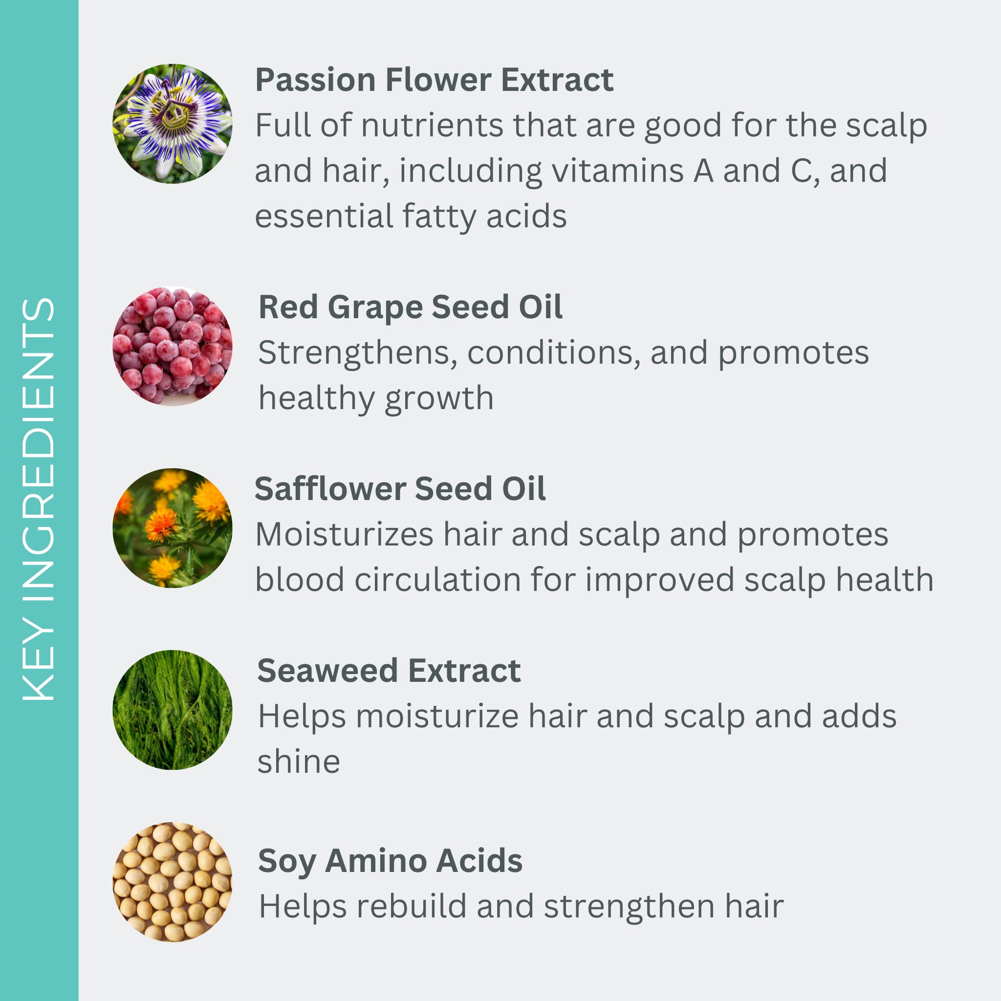 EVOLVh - Natural UltraShine Moisture Shampoo | Vegan, Non-Toxic, Clean Hair Care (8.5 fl oz | 250 mL)