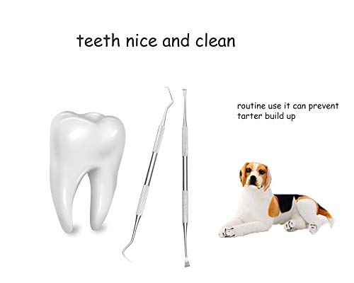 wzhe Dog Tooth Scaler and Scraper - 2 Pack Upgrade Pet Tarter Remover with Different Angles Double Head, Stainless Steel Teeth Cleaning Tools for Dogs