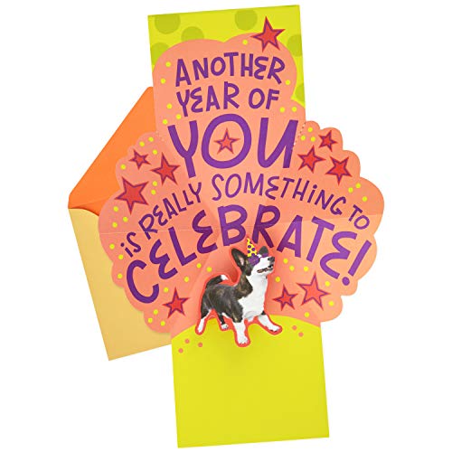 Hallmark Pop Up Birthday Card (Birthday Dog)