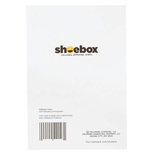 Hallmark Shoebox Funny Birthday Card Assortment (8 Cards with Envelopes) (2199RZG1003)