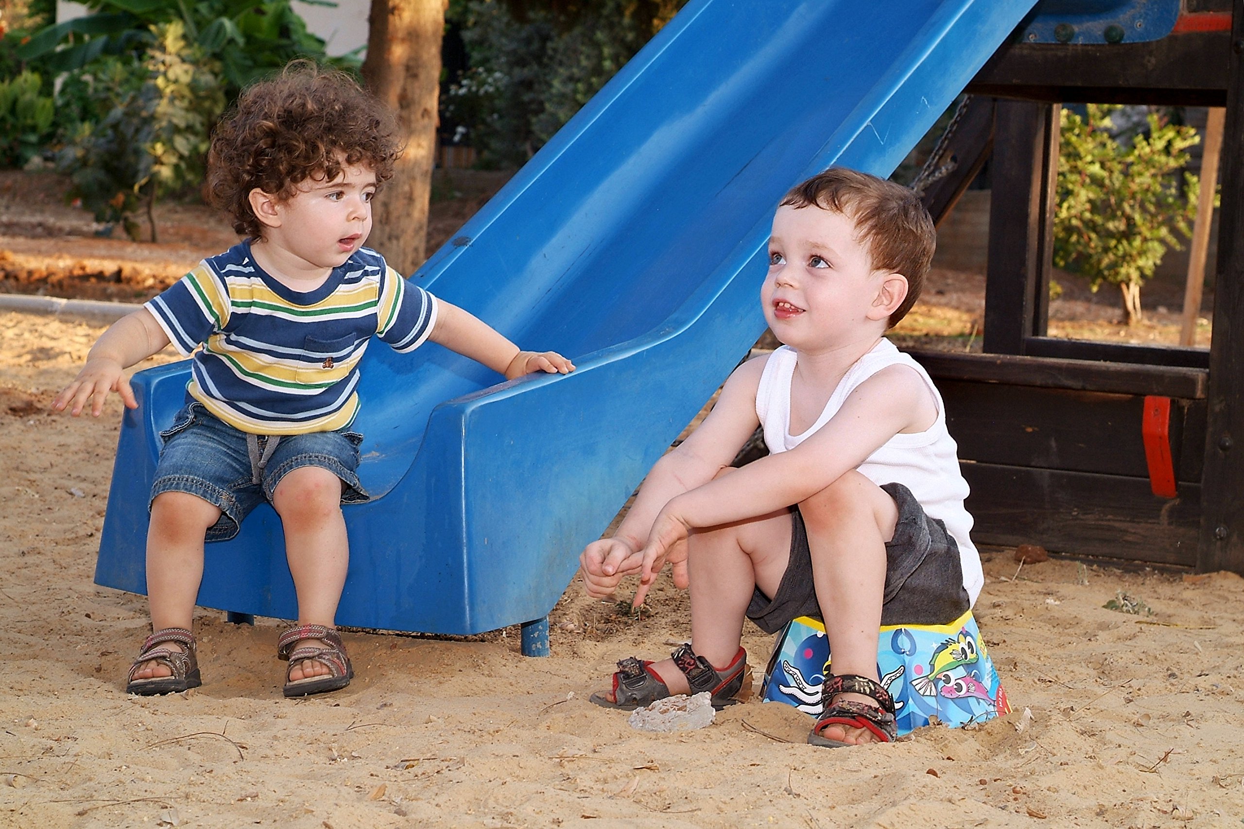 COMFYDO! Travel Potty Foldable Disposable Multiple-Use Potty Training (Ocean Fun) (Blue)