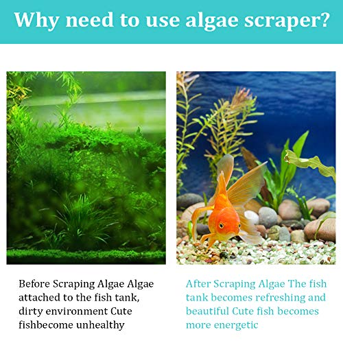 ZRDR Stainless Steel Algae Scraper Aquarium Cleaning Tool for Glass Aquariums, Including Algae Scraper, Sponge Pad, Fish Net, Cleaning Brush, Adjustable Length, Durable, Does Not Hurt The Fish Tank