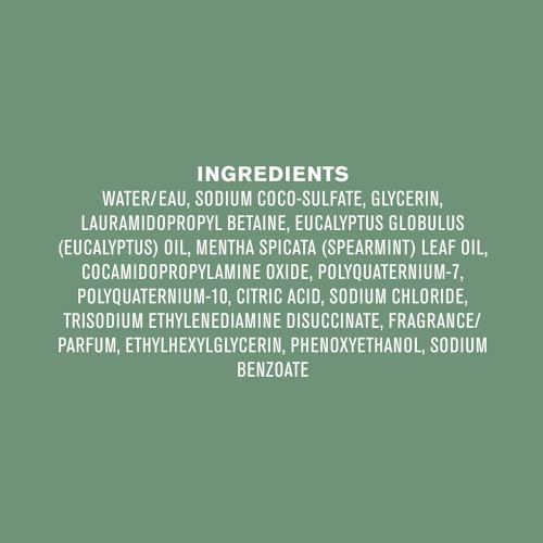 Every Man Jack Body Wash, Eucalyptus Mint, 33.8-Ounce