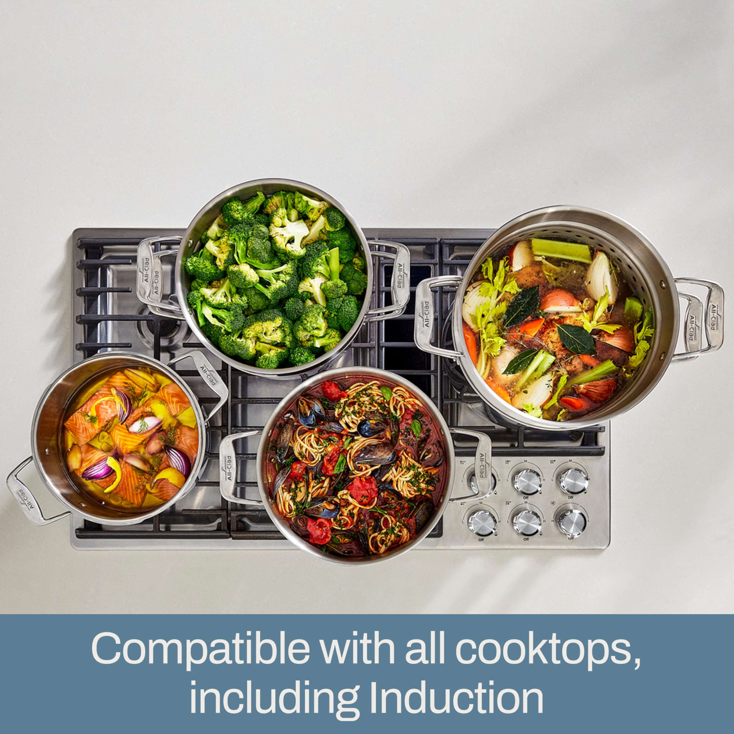 All-Clad Simply Strain Stainless Steel Multipot with Straining Lid, 6-Quart, Induction, Oven Broiler Safe 600F, Strainer, Pasta Strainer with Handle, Steamer Pot, Cookware, Home, Pots and Pans, Silver