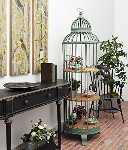 IMAX 47489 Charlotte Birdcage Shelf