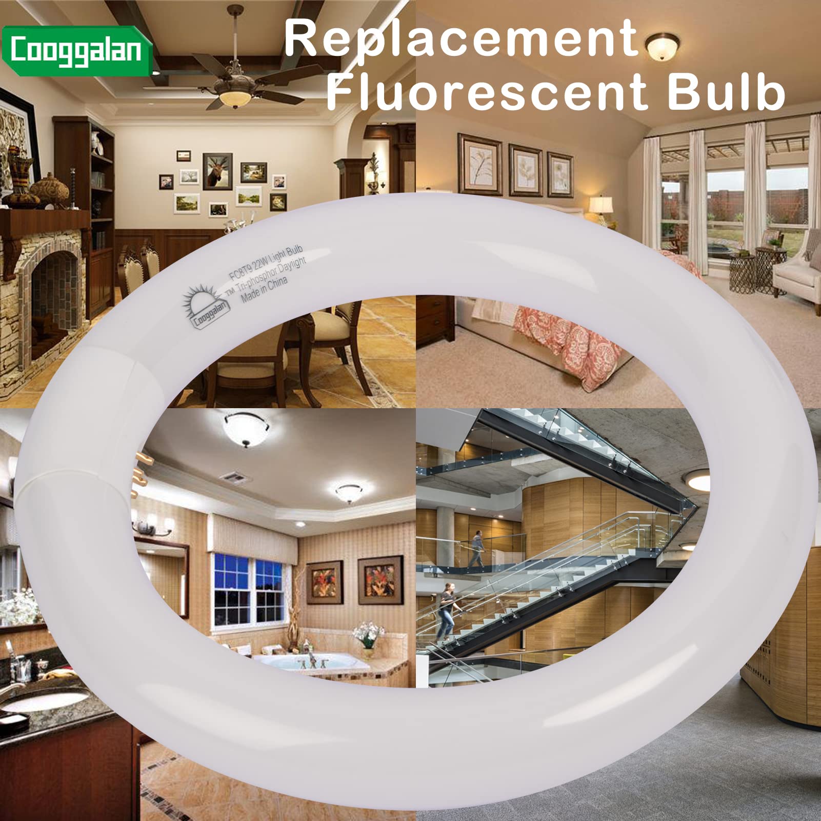 COOGGALAN 8 inch T9 22 Watts Round Light Bulbs FC8T9/DX Circular Fluorescent Light Bulb, FC8T9/DL 22W Circline Bulb, Daylight 6400K, G10q 4 Pin Prong Base, 2 Pack