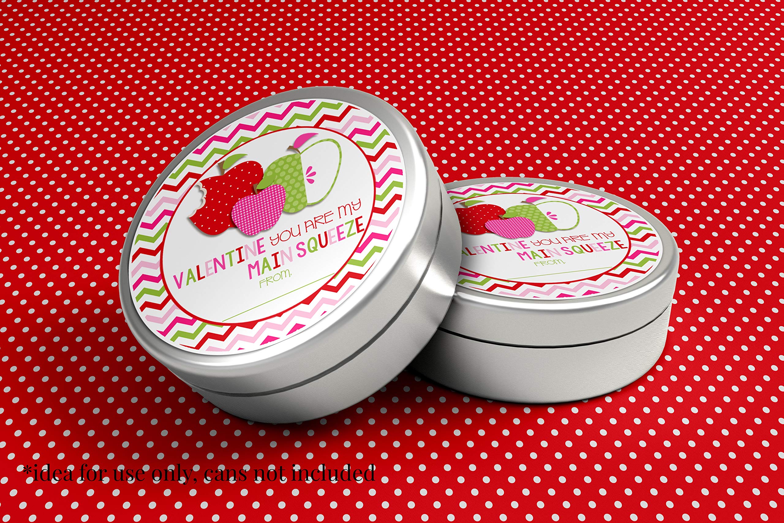 Main Squeeze Apple-Themed Valentine Party Favor Sticker Labels, 40 2" Party Circle Stickers by AmandaCreation, Great for Classroom Valentines, Envelope Seals, Gifts & Treats