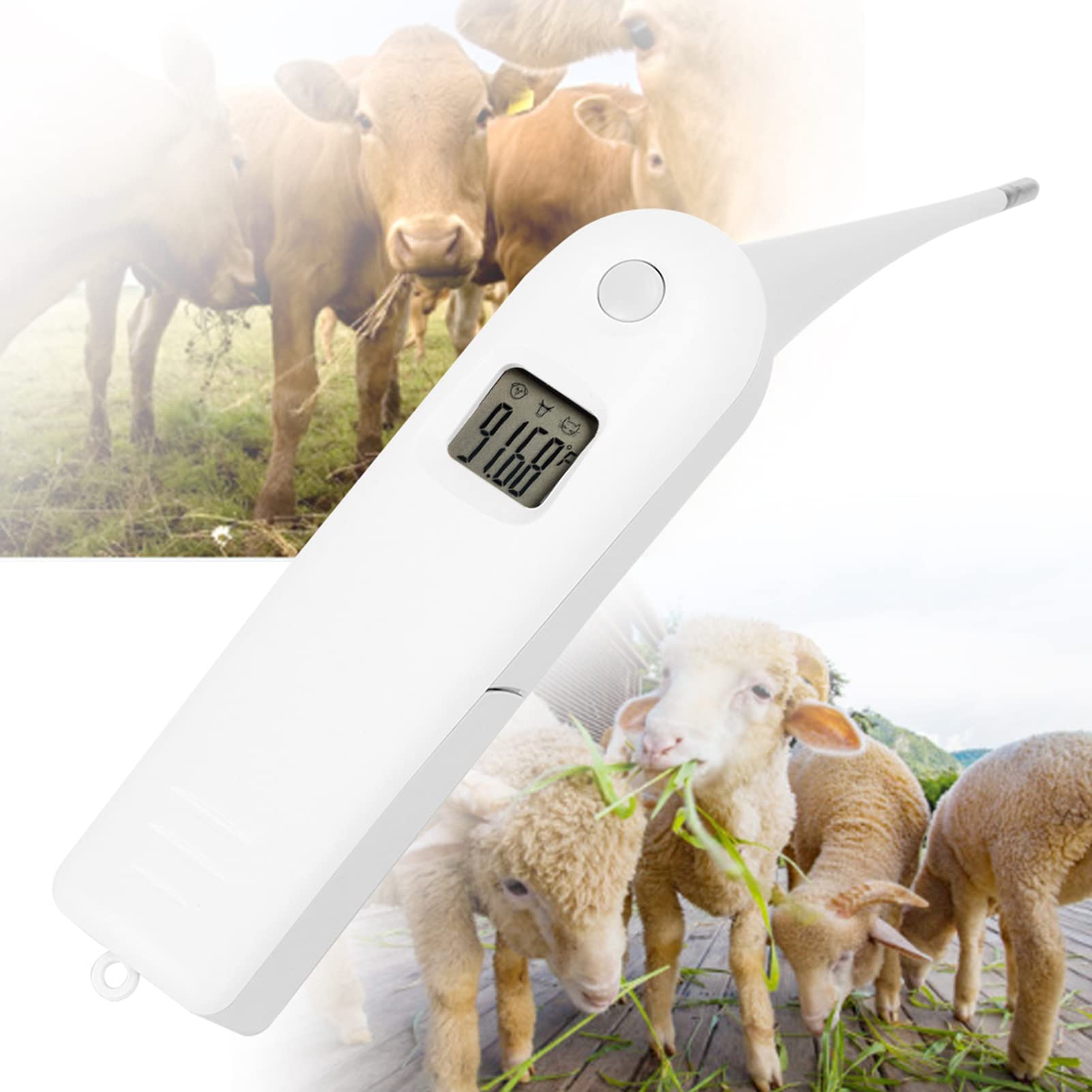 Animal Electronic Ehermometer Pet Thermometer Digital,Veterinary Electronic Thermometer Animal Anus Thermometer for Dogs,Horse, Cats, Pigs,Sheep Livestock