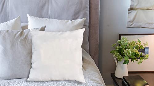 WHITEWRAP 20"x20" Set of 2 Throw Pillow Insert Decorative Polyester Filling Premium Hypoallergenic Sham Stuffer Square Couch - White