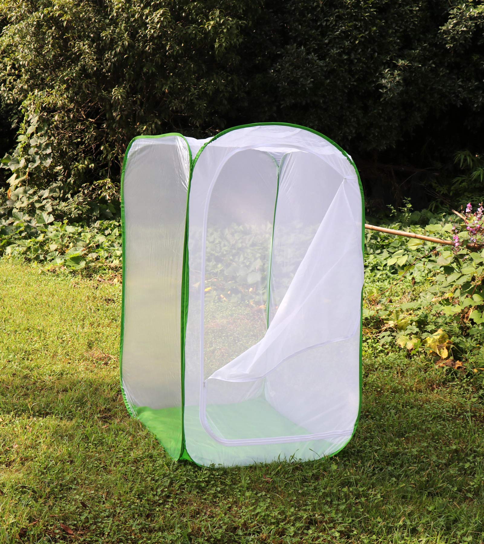 5 Feet Extra Large Monarch Butterfly Habitat, Giant Collapsible Insect Mesh Cage Terrarium Pop-up (White + Green, 35 x 35 x 59 Inches)