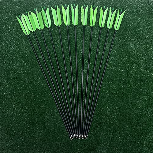6/12pcs Archery Carbon Arrows 30" Bow Target Hunting Arrow 4 Turkey Feather (Green,12pcs)