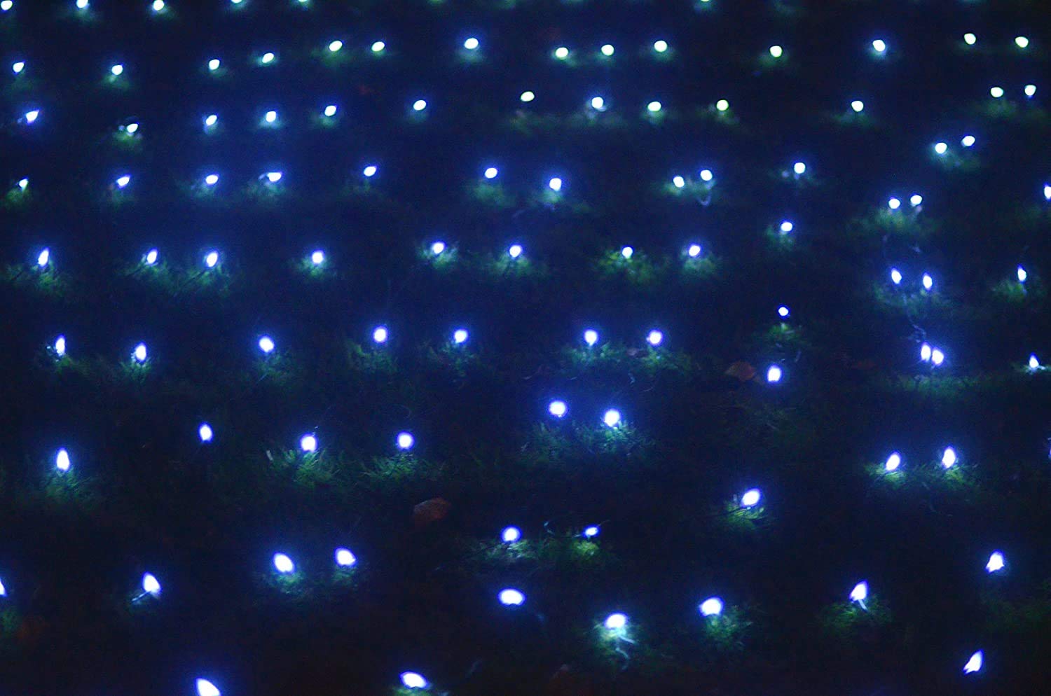 DBFAIRY 9.8x9.8Ft Solar Net Lights Bush Fairy Light Outdoor Waterproof 304 LEDs Dark Green Cable Tree-wrap Lights 8 Modes Decorative Lights for Party Christmas Wedding Garden Home Patio Lawn -(White)