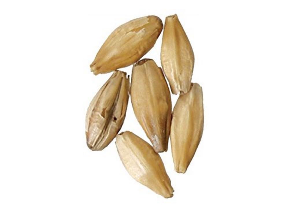 Brewmaster - GR440CM Malt - Peated - 1 lb Milled