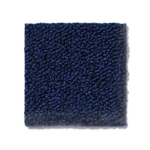 Home Queen Indoor Outdoor Commercial Navy Color Area Rug - 6'x8'