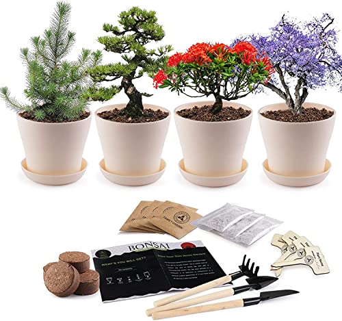JC-JDFMY11 Gardening Potted Plants,4 Kit Kinds of Decorative Bonsai Tree Planting Kit Suitable for Indoor or Outdoor,Removable Base,with Drain Holes,Creative and Novel Gifts