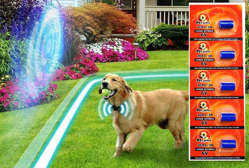 6 Volt Battery Compatible for Pet Stop, Perimeter, Extreme Dog Fence Collar Battery, Two CR1/3N 6v Batteries 170mah High Capacity Lithium Battery! (5 Pack)