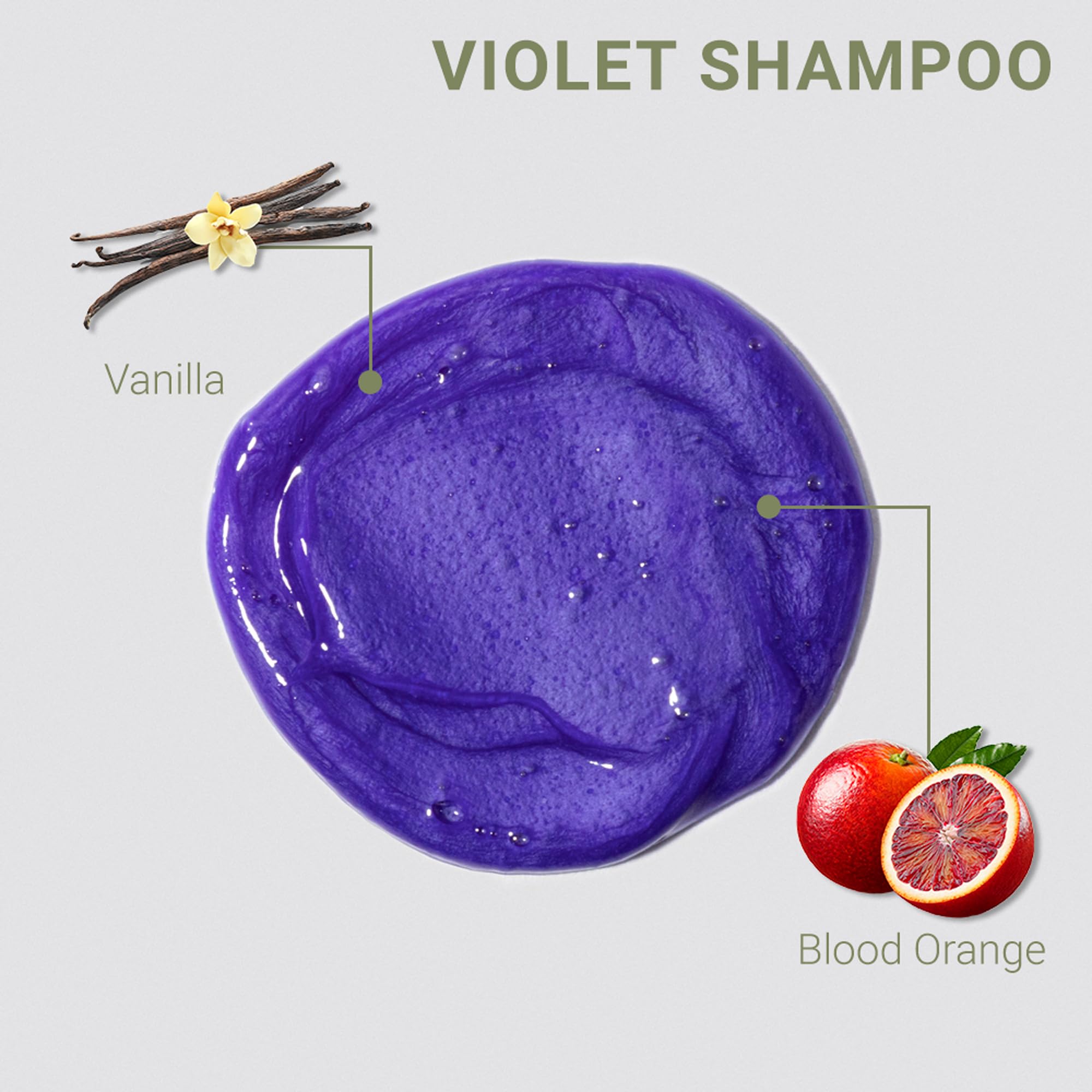 Loma Hair Care Violet Shampoo Violet Conditioner Duo, 12 Fl Oz , 2 Count (Pack of 1)