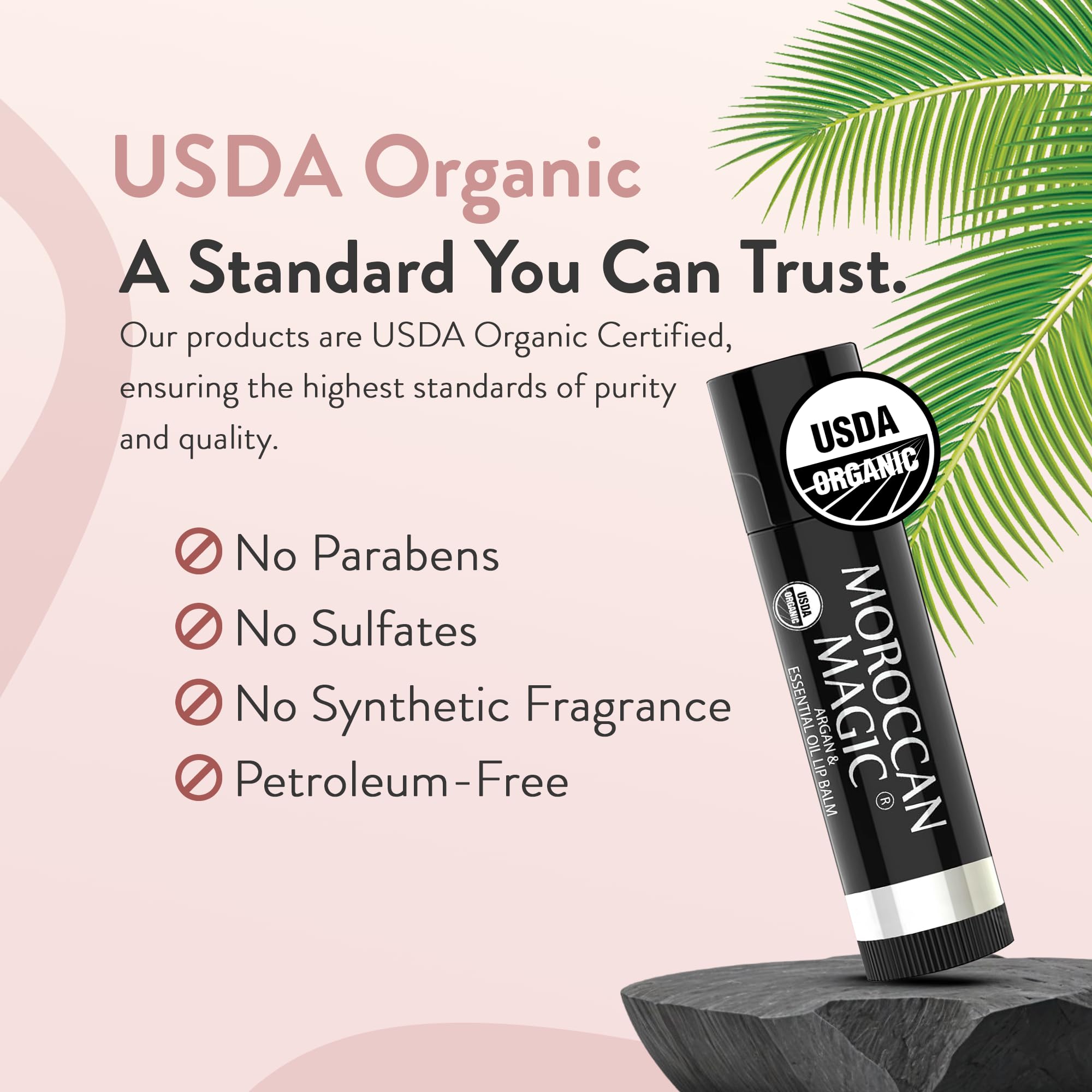Organic Moroccan Magic Lip Balm 3 Pack | Original Unscented Lip Balm Set | Chapsticks for Dry Lips | Made with Natural Argan, Essential Oils Lip Moisturizer and Vitamin E | Smooth Application