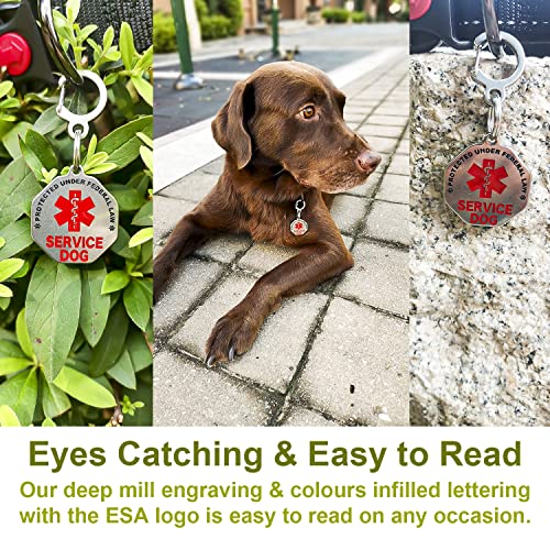 CIREGE Double Sided Service Dog Tag with Red Medical Alert Dog Identification, Service Dog Medallion, Stainless Steel, Stone Polishing Process, Durable, Psychiatric Service Dog Patch with Clip