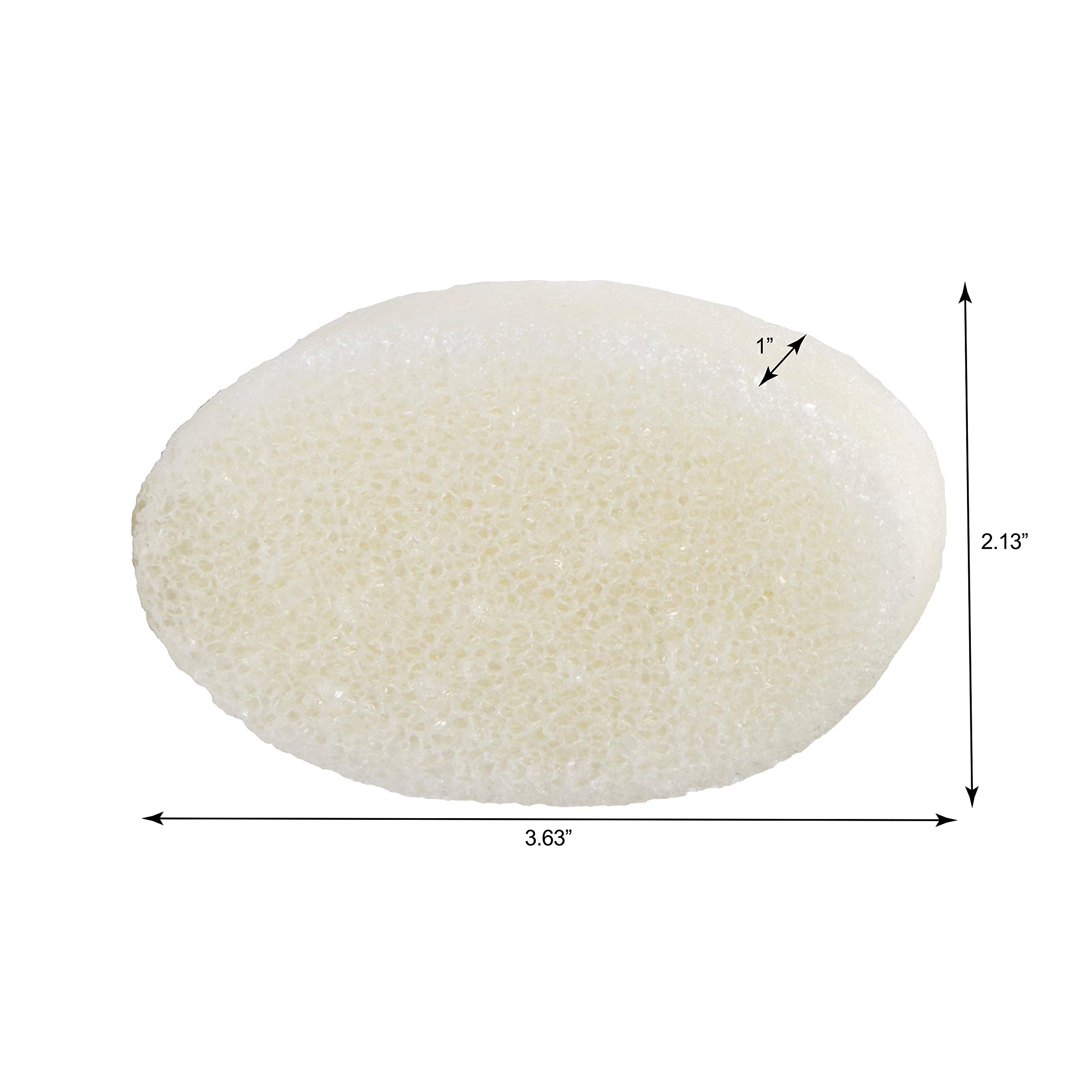 Spongeables Shaving Soap In a Sponge, Exfoliating Sponge for Use Before Shaving, Aloe and Shea Butter, Moisturizer and Exfoliator, Coconut, 2 Count