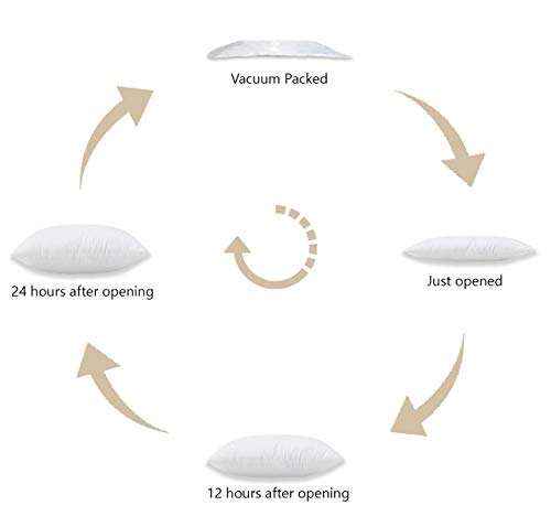 WHITEWRAP 20"x20" Set of 2 Throw Pillow Insert Decorative Polyester Filling Premium Hypoallergenic Sham Stuffer Square Couch - White