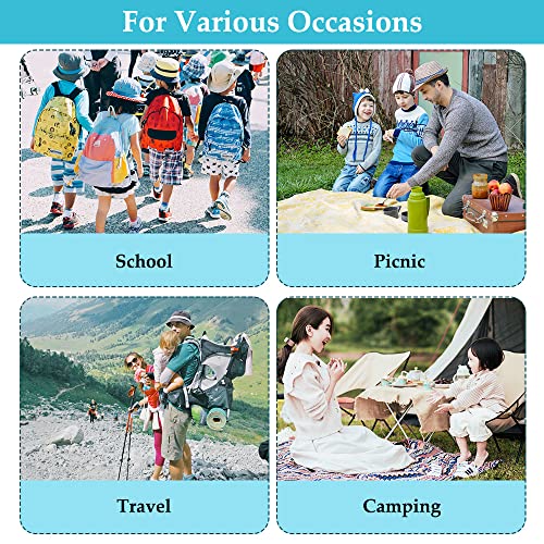 Bento Lunch Box Kids Children, Lunchbox with 4 compartments, Spoon, Fork and Fruit Picks, Blue Food Containers for Boys, Daycare/Travel/School, Leak-Proof, BPA-Free, Microwave/Dishwasher/Freezer Safe