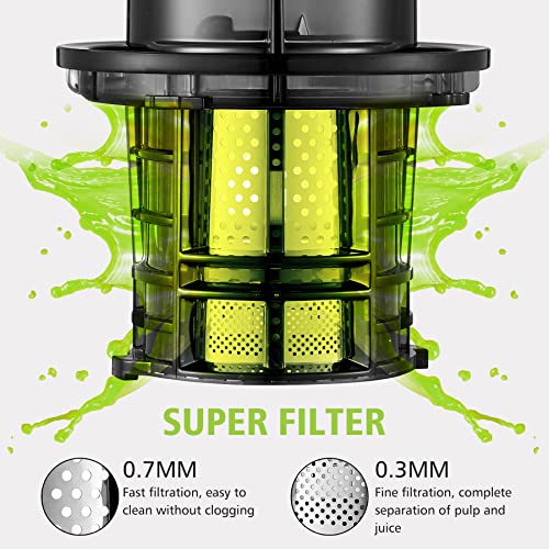 Aobosi Masticating Juicer Machine, 2-In-1 Cold Press Juicer with Large Feed Chute for Juice & Ice Cream, Powerful Slow Juicer for Vegetable and Fruit, Easy Clean Self Feeding (Blue)