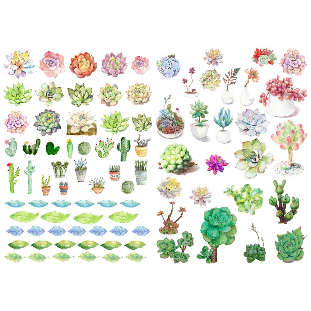 Seasonstorm Succulent Plants Aesthetic Happy Planner Diary Journal Stationery Scrapbooking Stickers Travel Art Supplies