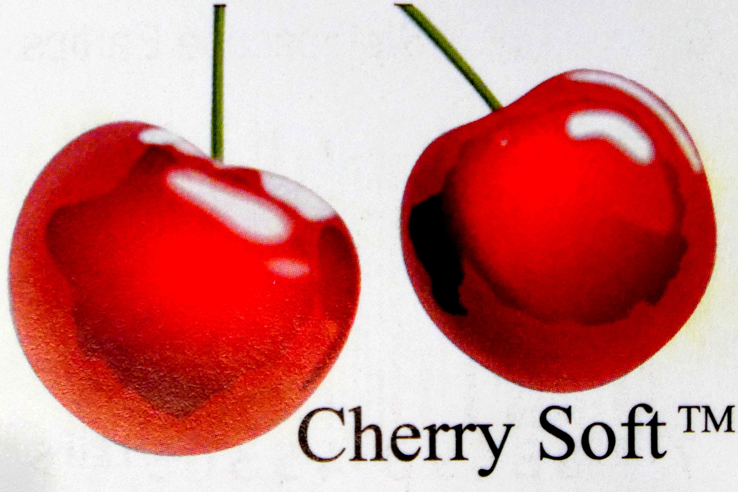 Cherry Soft Sealing Stethoscope Eartips